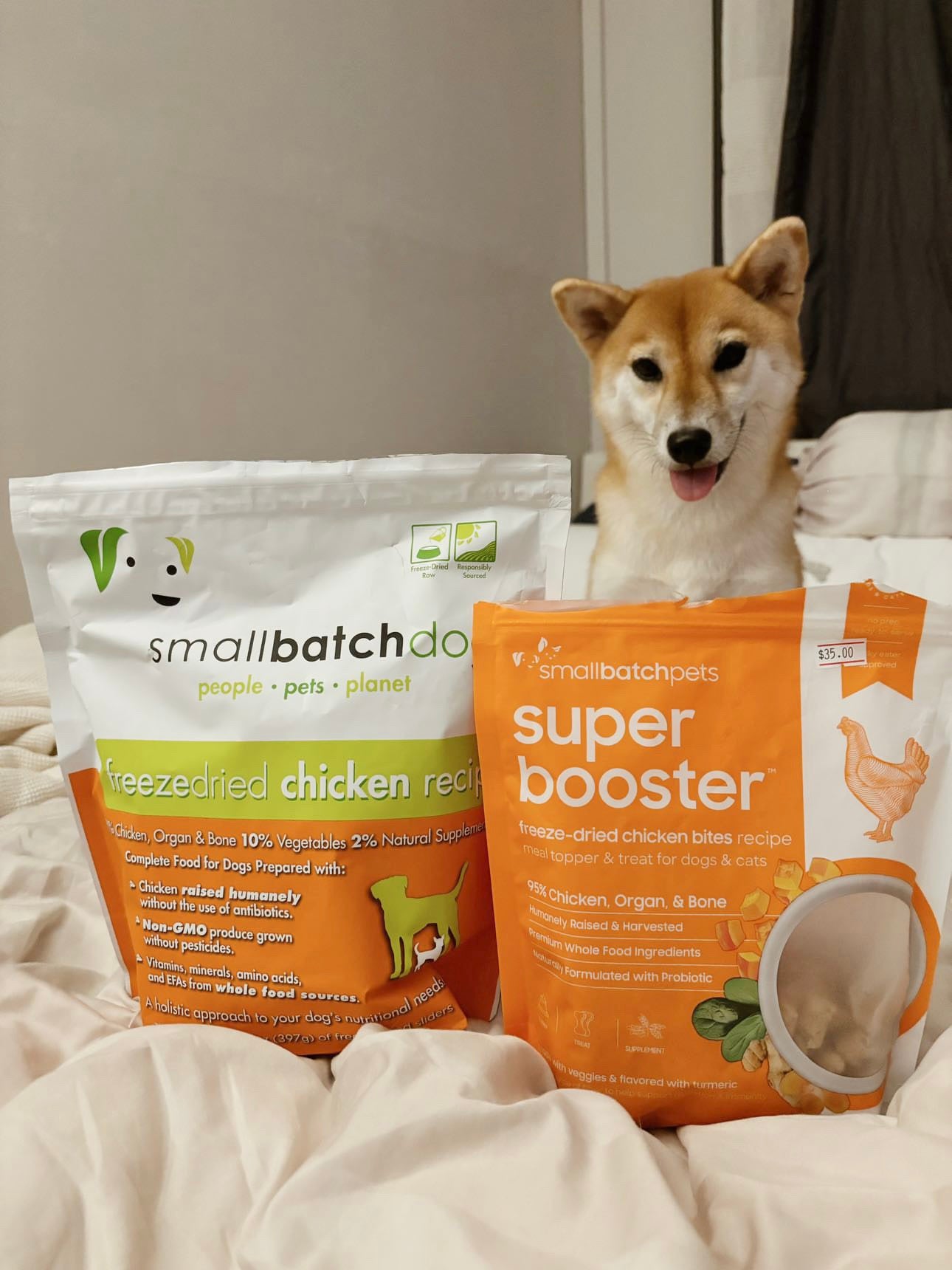 HI 5 PAWS – Hi 5 Paws