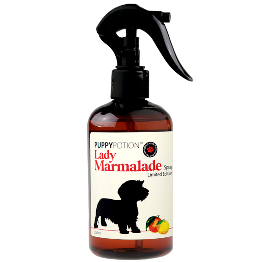 DoggyPotion Lady Marmalade Conditioning Spray For Dogs — Hi 5 Paws